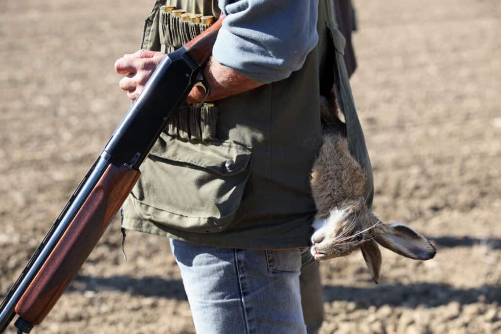 10 Tips for Successful Rabbit Hunting: Master the Skill – Jack Outdoors